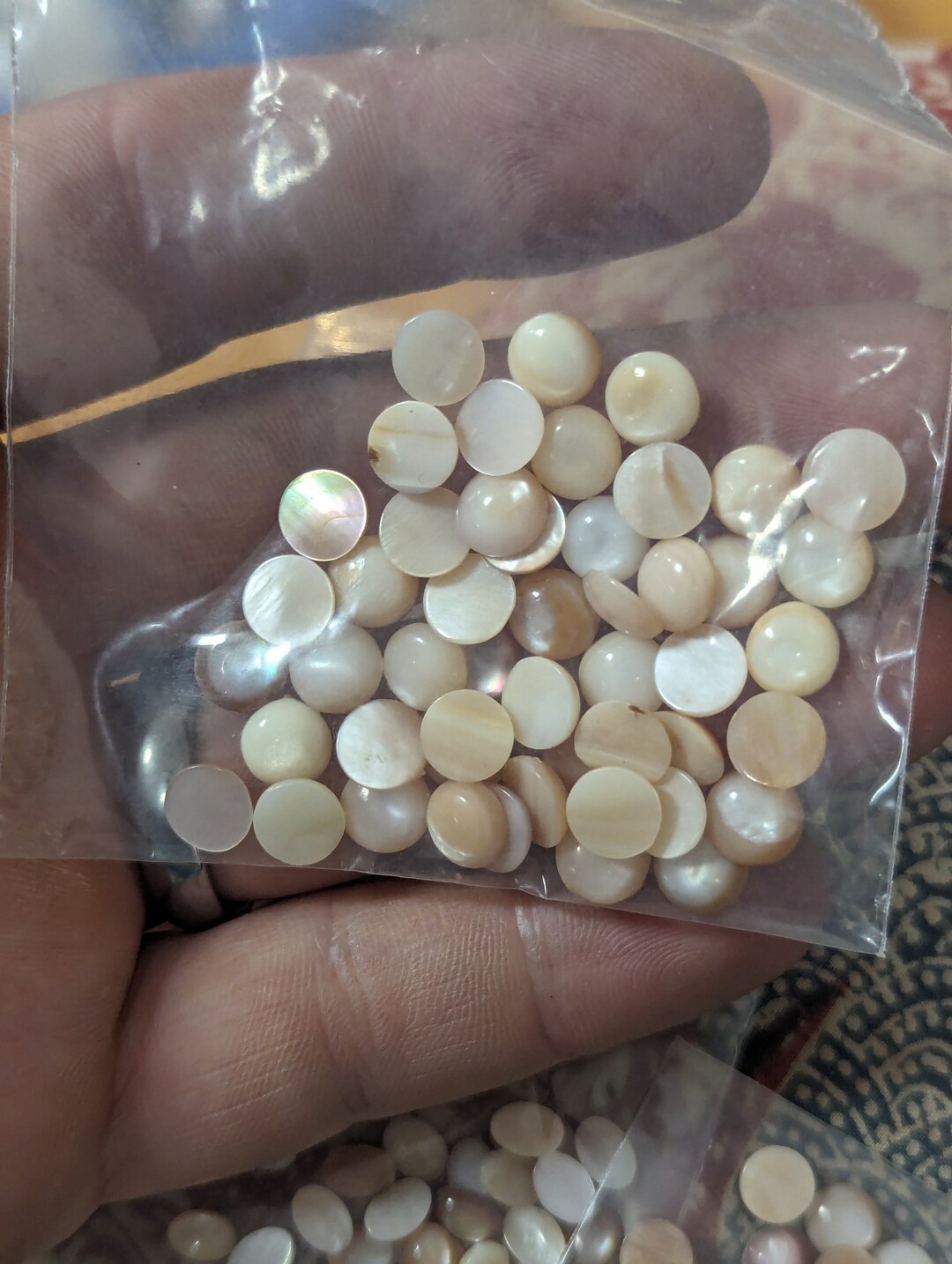 Rare Tennessee River Pearl Shell Cabochons, Calibrated Sizes - Etsy