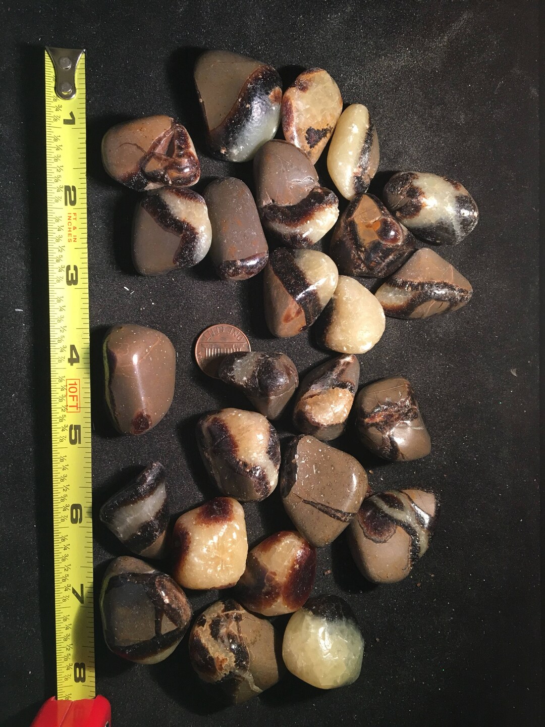 1lb Bulk Tumbled Septarian Nodule Stones - Etsy