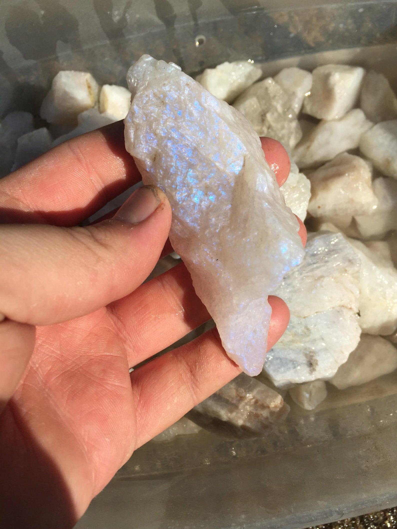 1lb Rainbow Moonstone Rough Stone Nice Colors - Etsy