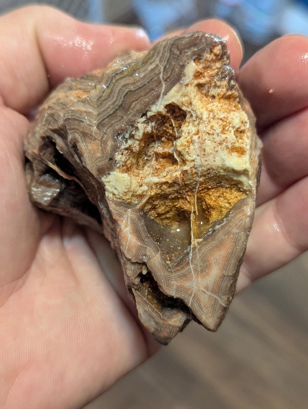 Nice Pattern and Banding, Large Crazy Lace Agate From Summerville ...