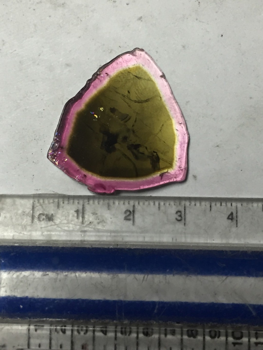 25ct Reverse Watermelon Tourmaline Slice Old Stock Brazil - Etsy