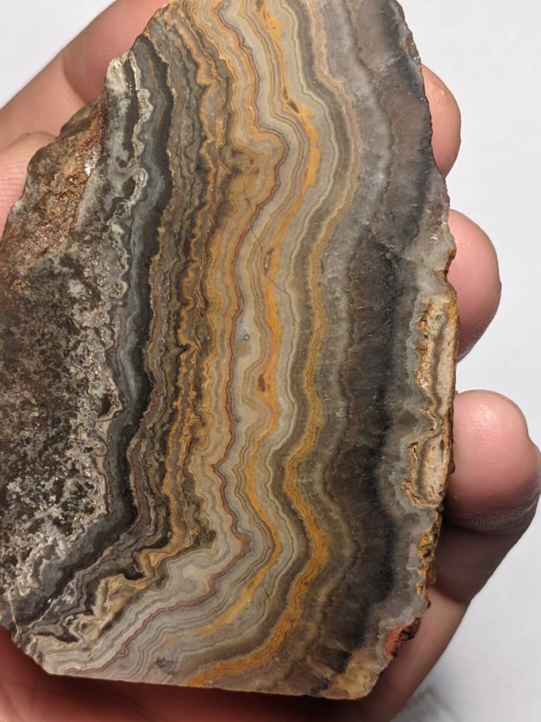 Rare Kentucky Agate Slab - Etsy