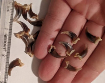 WholesaleRocksDotBIZ - Etsy