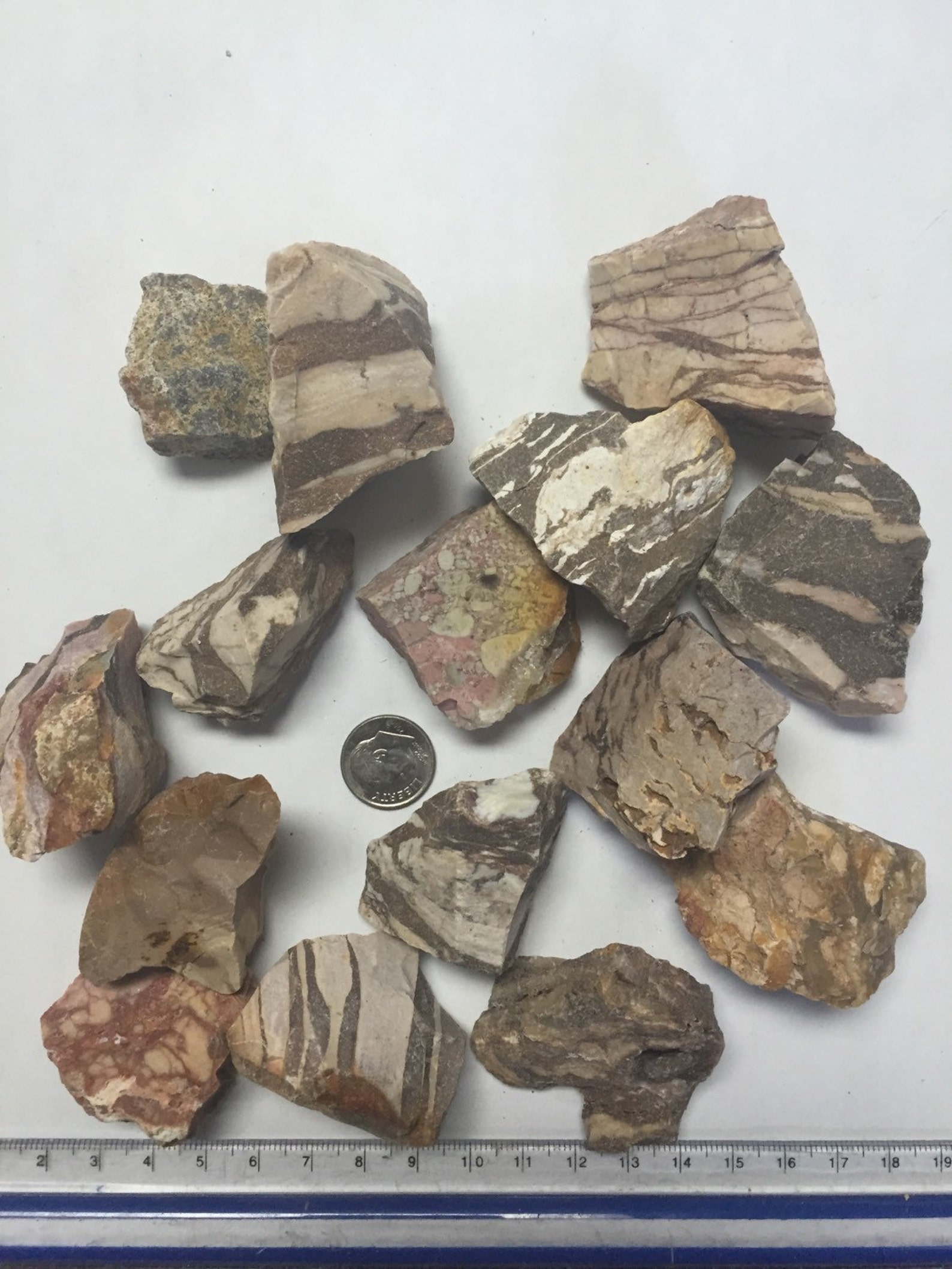 Wholesale Zebra Jasper Rough Stones 1lb | Etsy