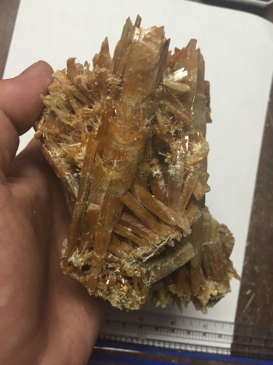Over 1lb Big Orange Selenite Crystal Cluster - Etsy