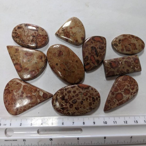 Leopard Skin Jasper - Etsy