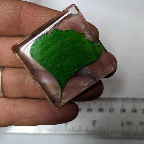 Resin Inclusions - Etsy Australia
