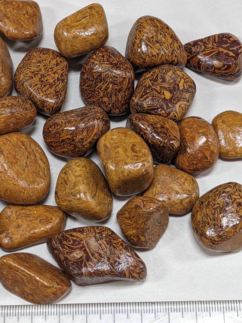 1lb Bulk Tumbled Arabic / Chinese Writing / Elephant Jasper - Etsy