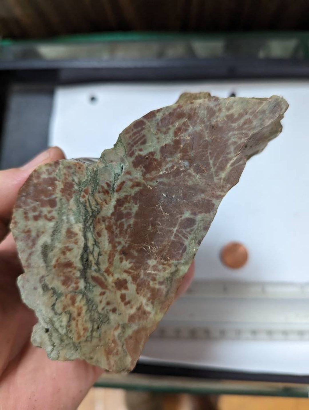 Large 2lb Coprolite Fossil Dino Poop Rough - Etsy