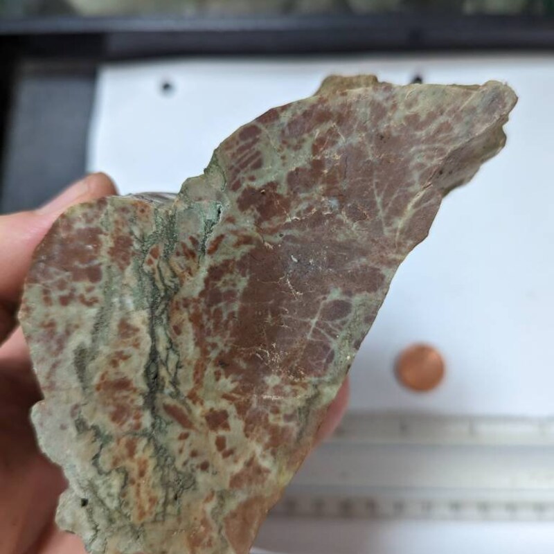 Coprolite - Etsy