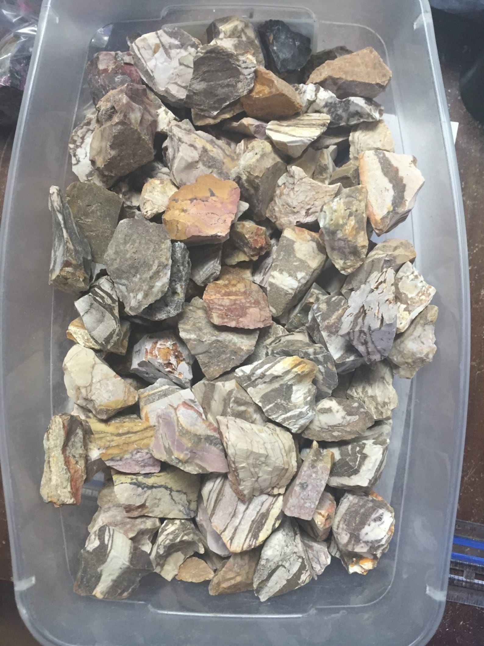 Wholesale Zebra Jasper Rough Stones 1lb | Etsy