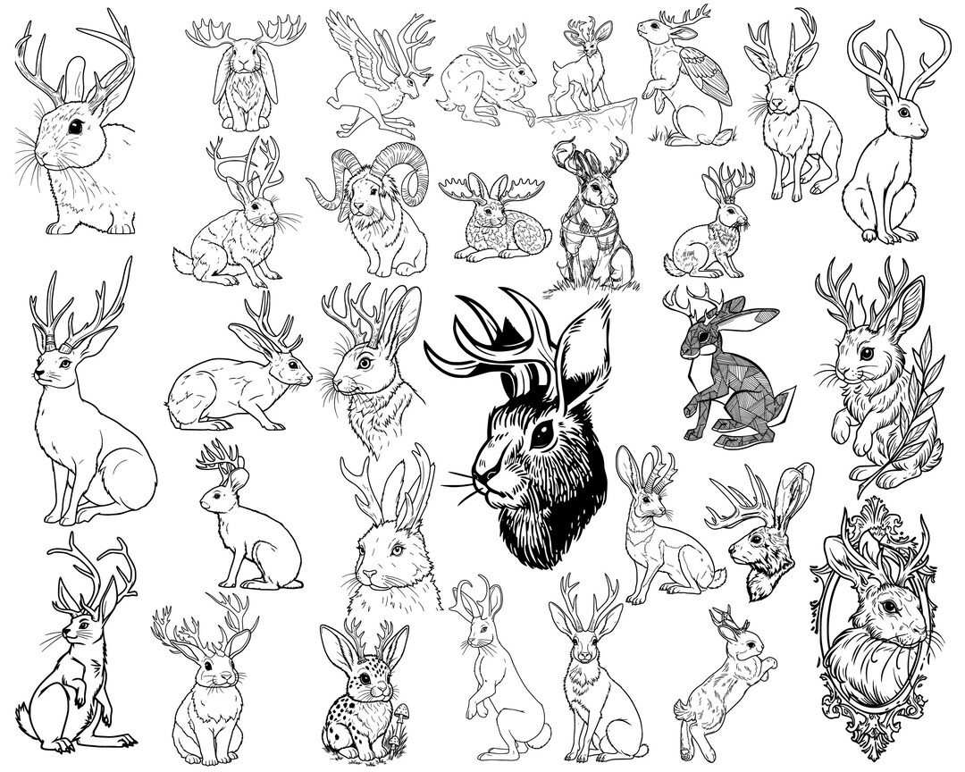 Jackalope SVG Bundle | Mythical Rabbit Antlers, Western Folklore ...