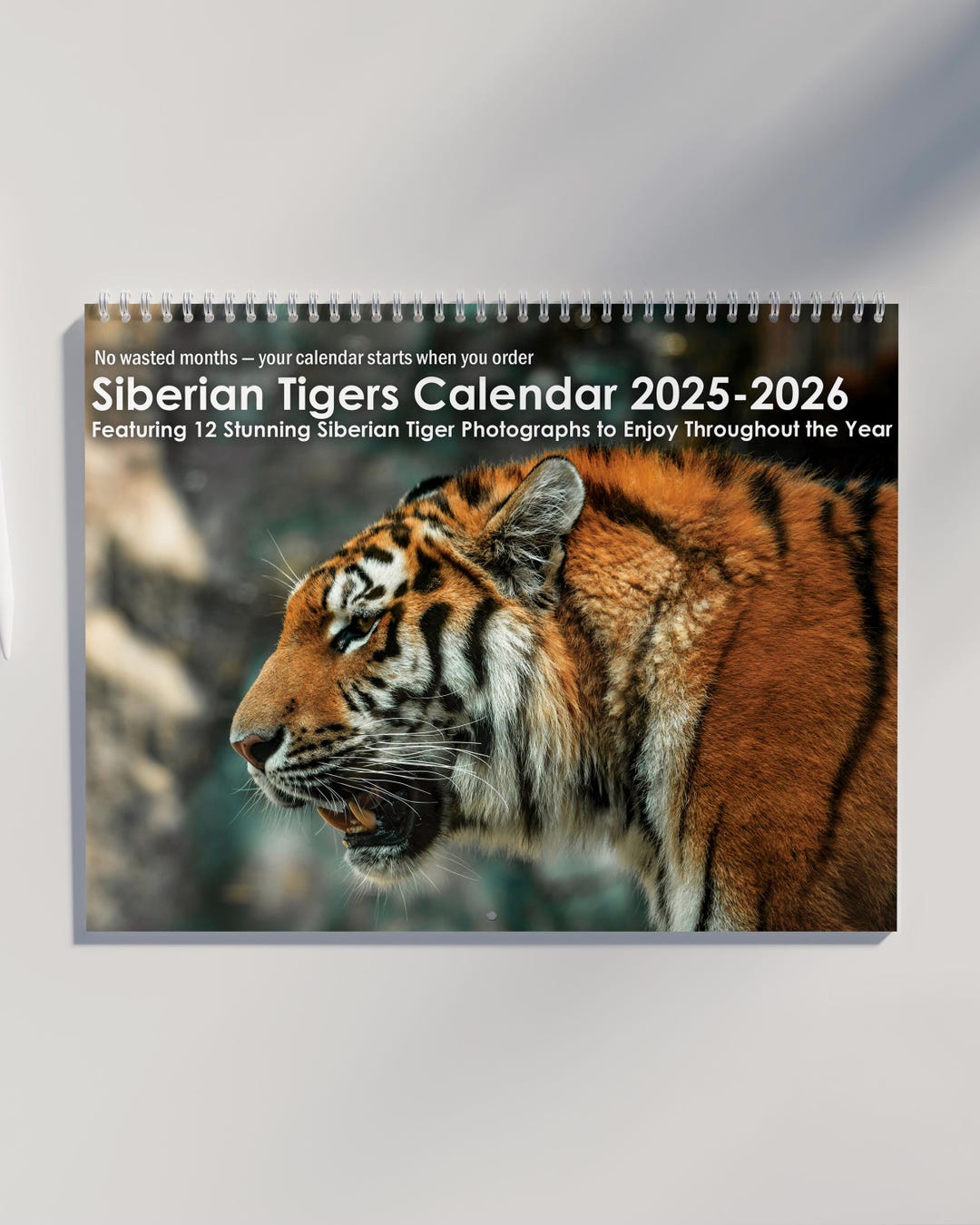 Tigers Calendar 2026 | Wildlife Calendar Featuring Stunning Tiger ...
