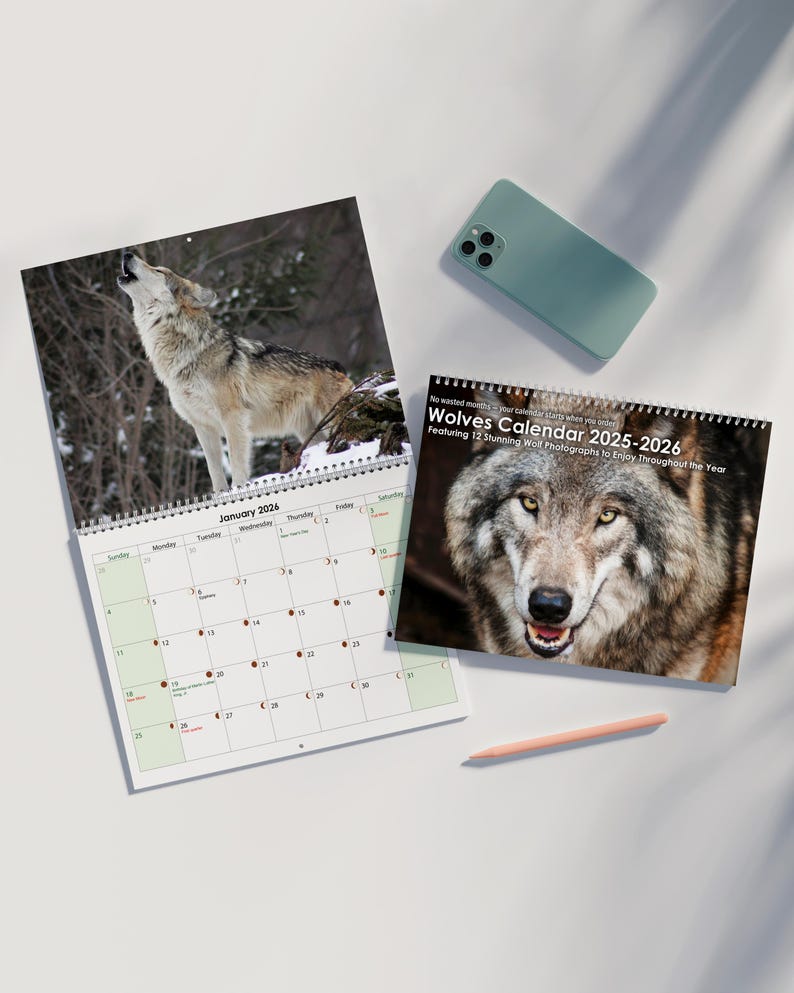 Wolves Calendar 2026 | Wildlife Calendar Featuring Stunning Wolf ...