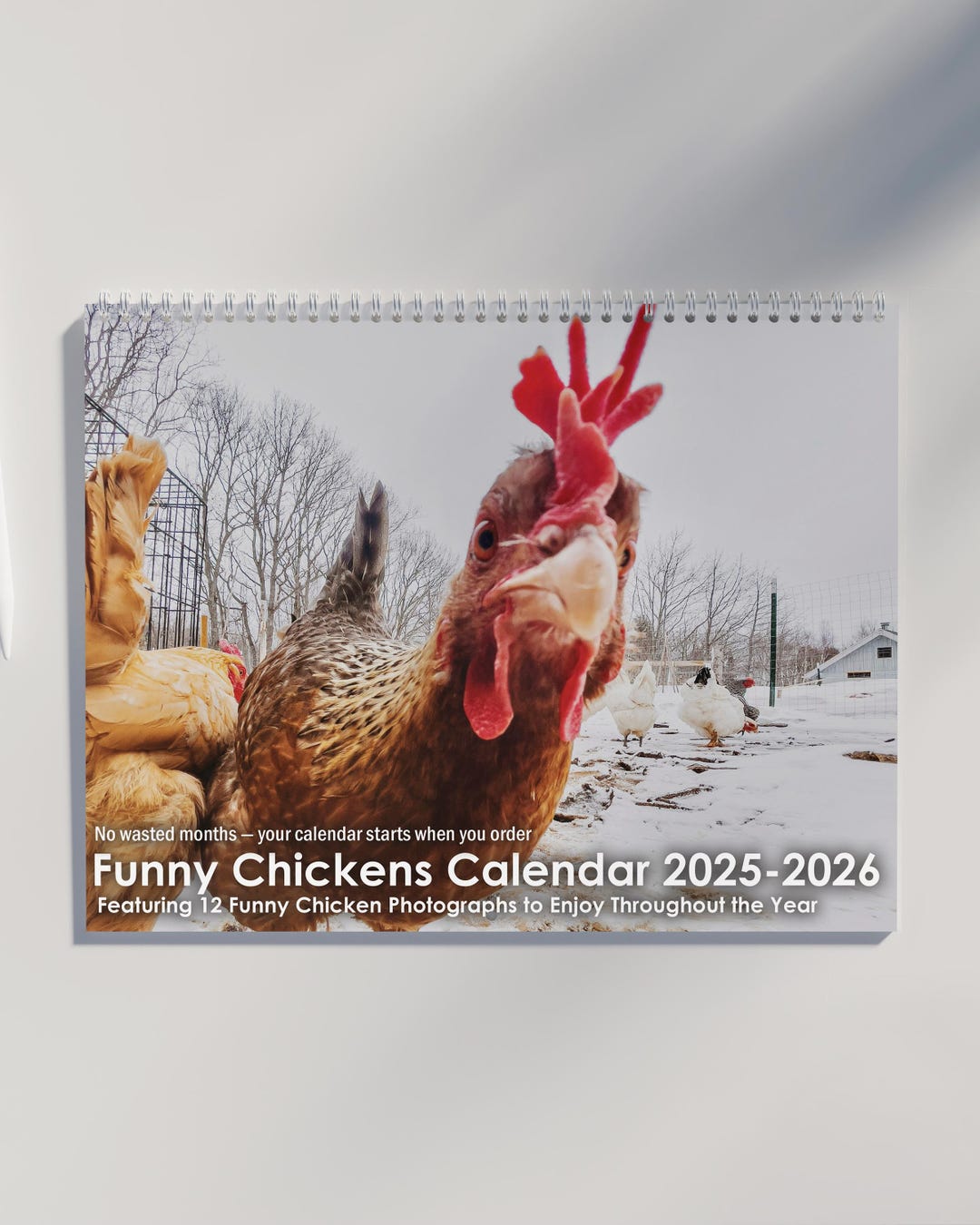 Funny Chicken Calendar 2026 | Chicken Wall Calendar Featuring Funny ...