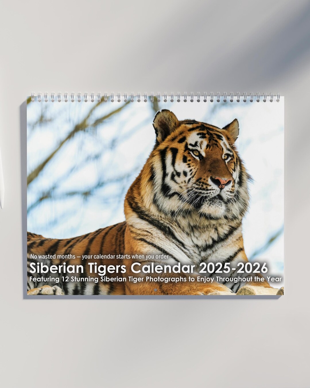Tigers Calendar 2026 | Wildlife Calendar Featuring Stunning Tiger ...