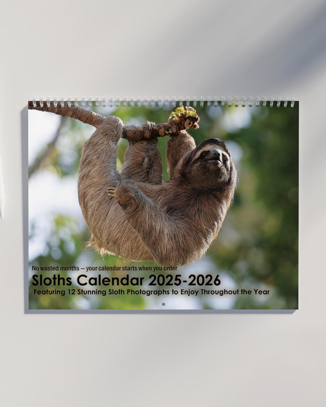 Sloth Calendar 2026 | Wildlife Calendar Featuring Stunning Sloth ...