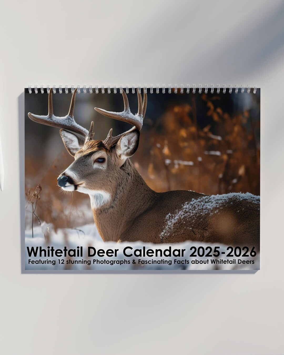 Whitetail Deer Calendar 2026: Featuring Stunning Monster Bucks ...