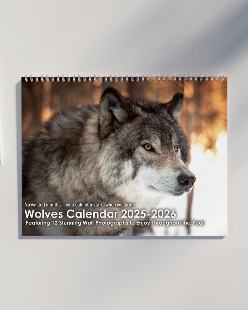 Wolves Calendar 2026 | Wildlife Calendar Featuring Stunning Wolf ...