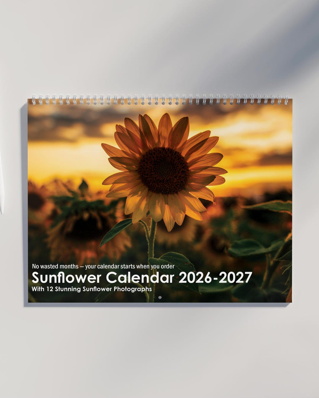 Sunflower Calendar 2026 2027: Featuring Stunning Sunflower Photography ...