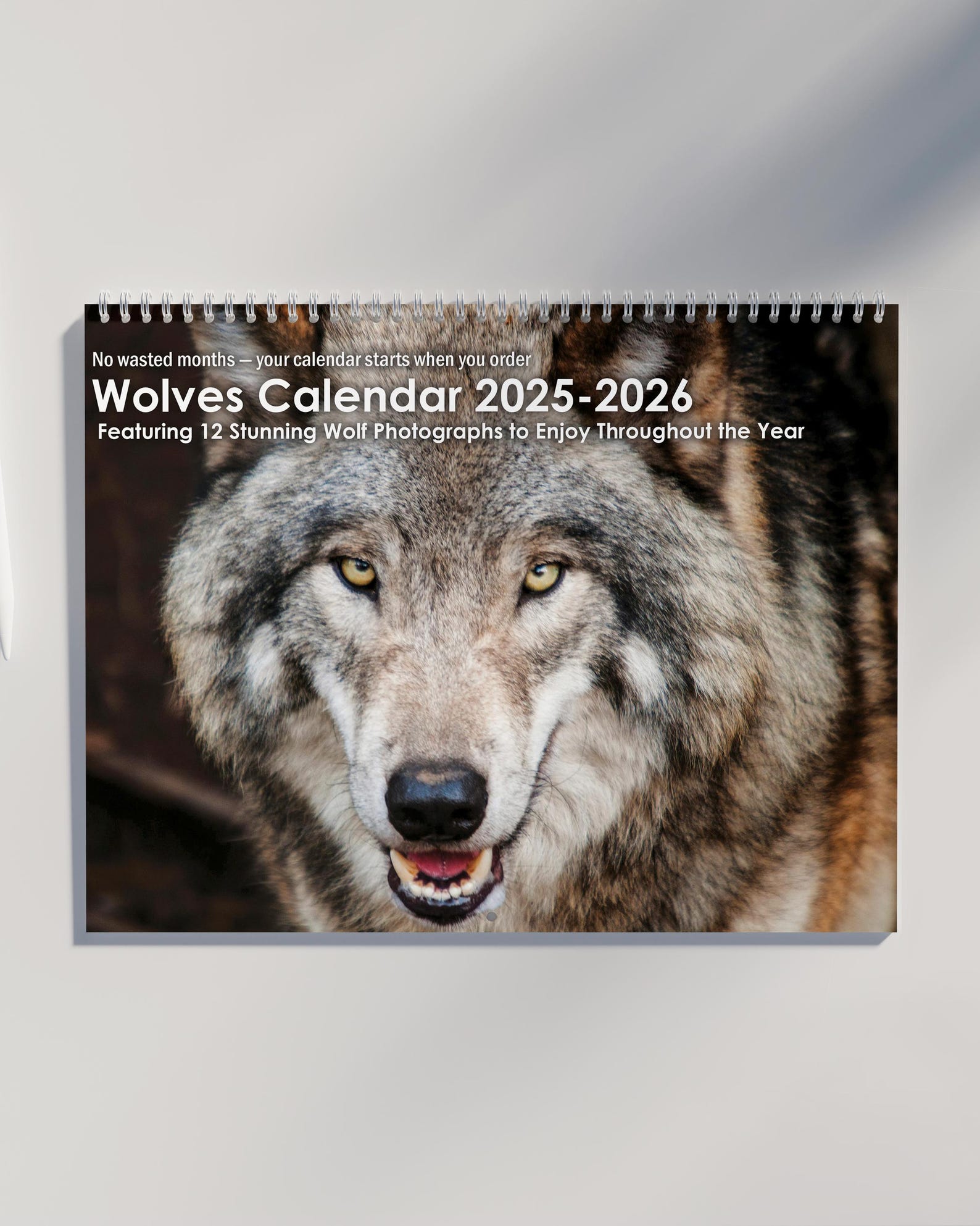 Wolves Calendar 2026 | Wildlife Calendar Featuring Stunning Wolf ...