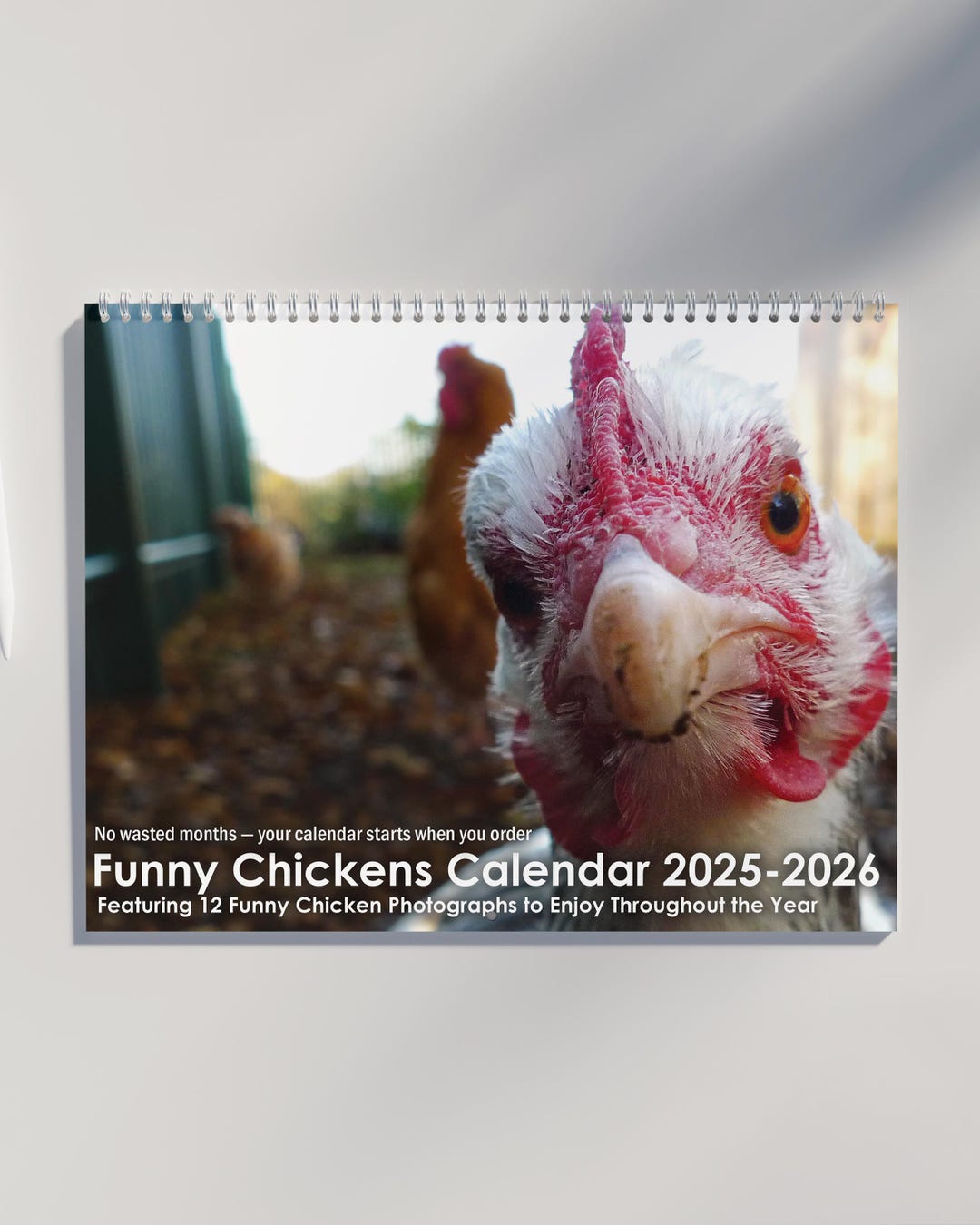 Funny Chicken Calendar 2026 | Chicken Wall Calendar Featuring Funny ...