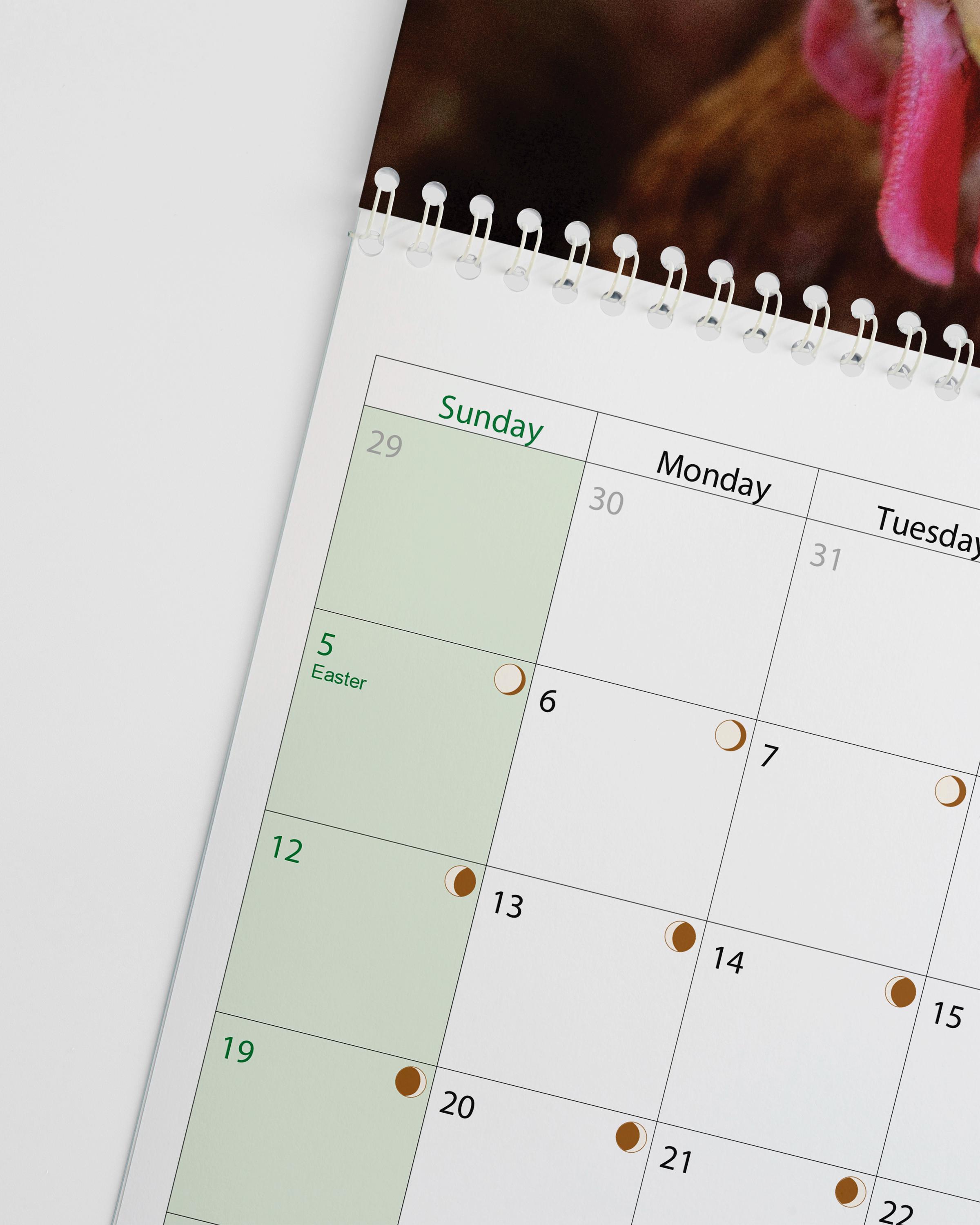 Funny Chicken Calendar 2026 | Chicken Wall Calendar Featuring Funny ...