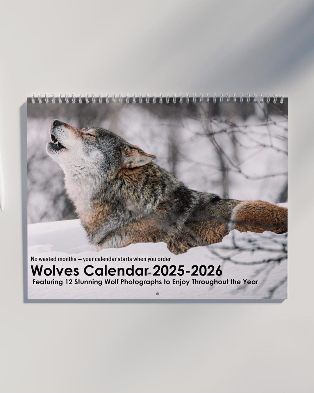 Wolves Calendar 2026 | Wildlife Calendar Featuring Stunning Wolf ...