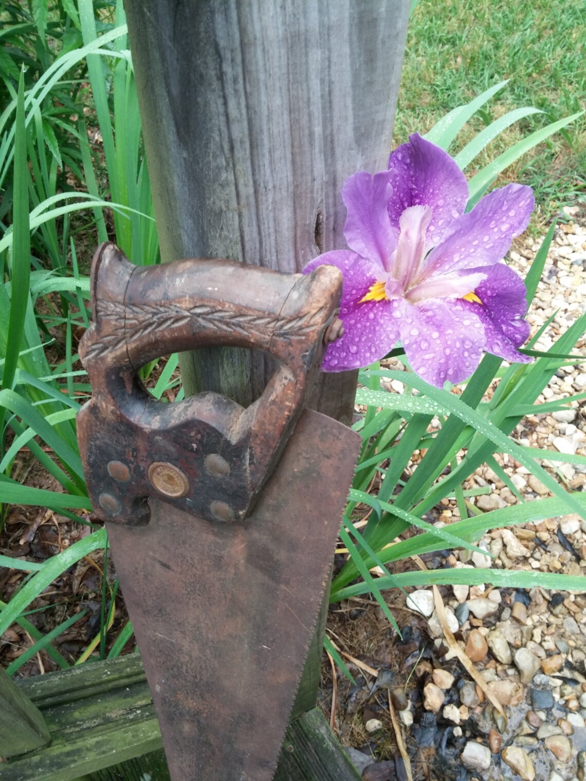 Simonds Hand Saw Old Rusty Collectors Piece 1880 - Etsy