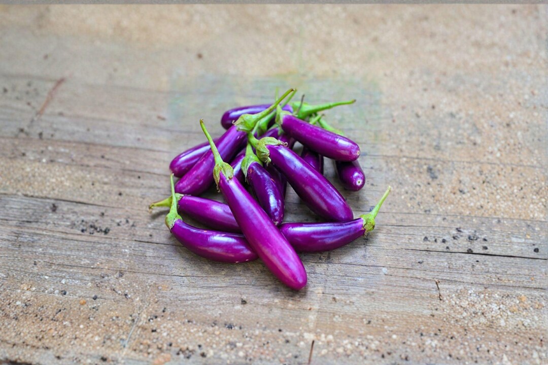 Eggplant – Long Purple 50 Seeds | Heirloom Eggplant | Slender Fruits ...