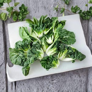 Dwarf Pak Choi – Baby Bok Choy 180 Seeds | Compact Asian Green | Mild ...