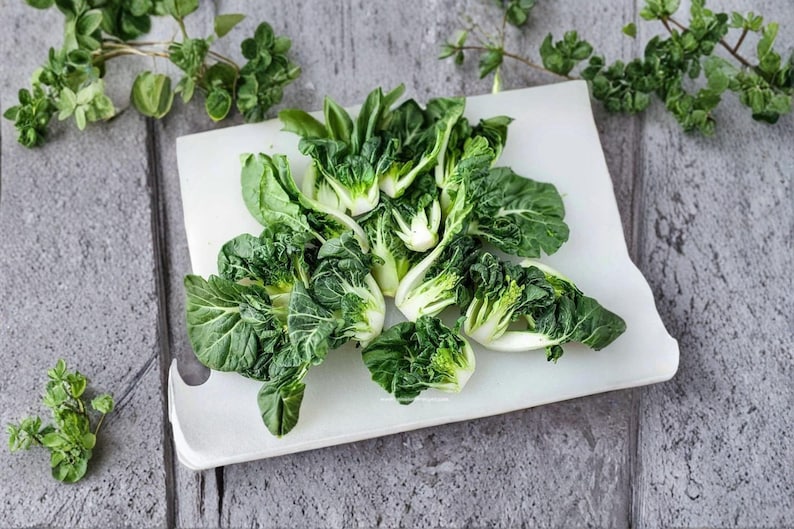 Dwarf Pak Choi – Baby Bok Choy 180 Seeds | Compact Asian Green | Mild ...