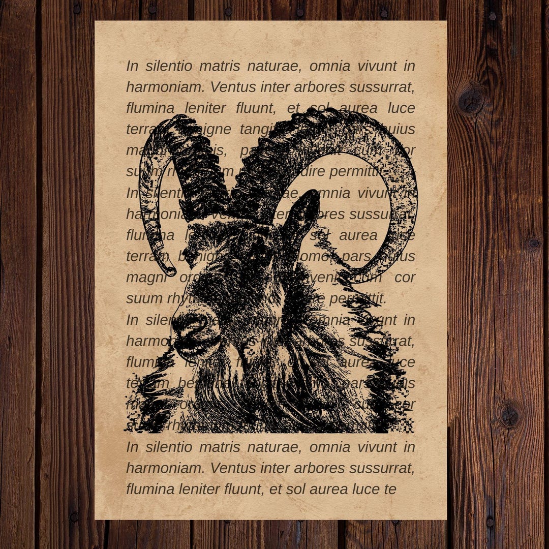 Vintage Ibex and Latin Text Illustration Print, Rustic Animal Drawing ...