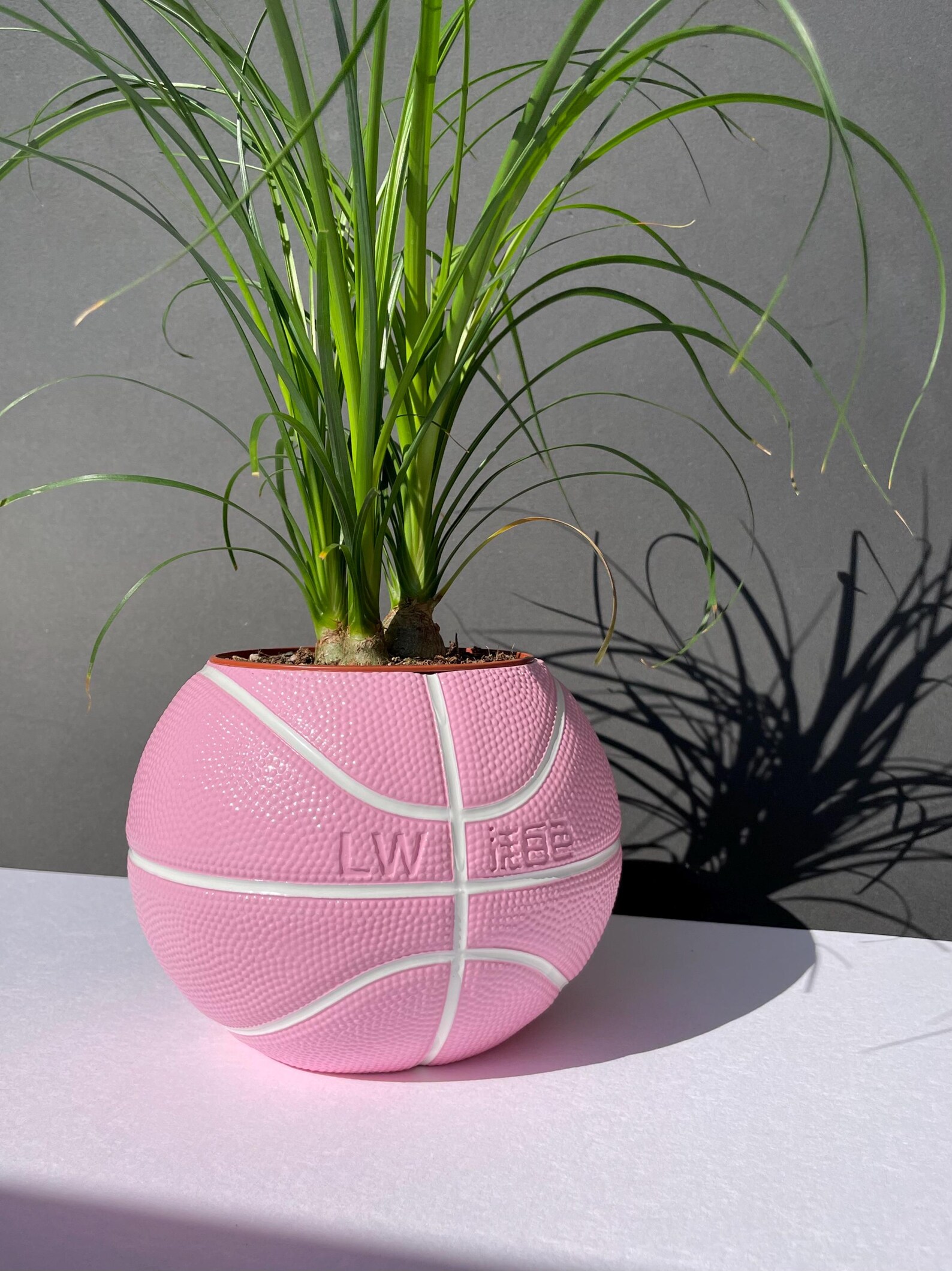Basketball Planter Pot for Boys Room, Sport Ball Plant Pot, Unique Teen ...