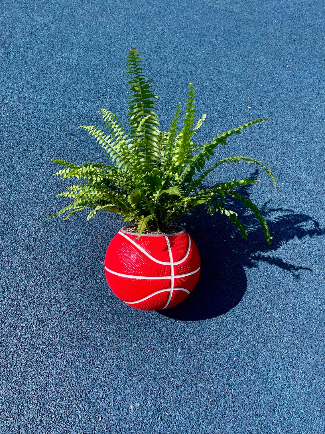 Basketball Planter Pot for Boys Room, Sport Ball Plant Pot, Unique Teen ...