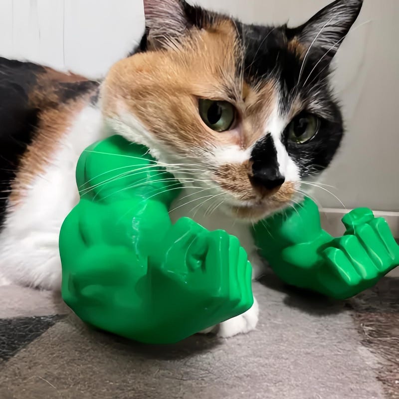 3d Print Muscle Arms for Cat - Etsy