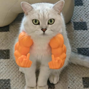 3d Print Muscle Arms for Cat - Etsy
