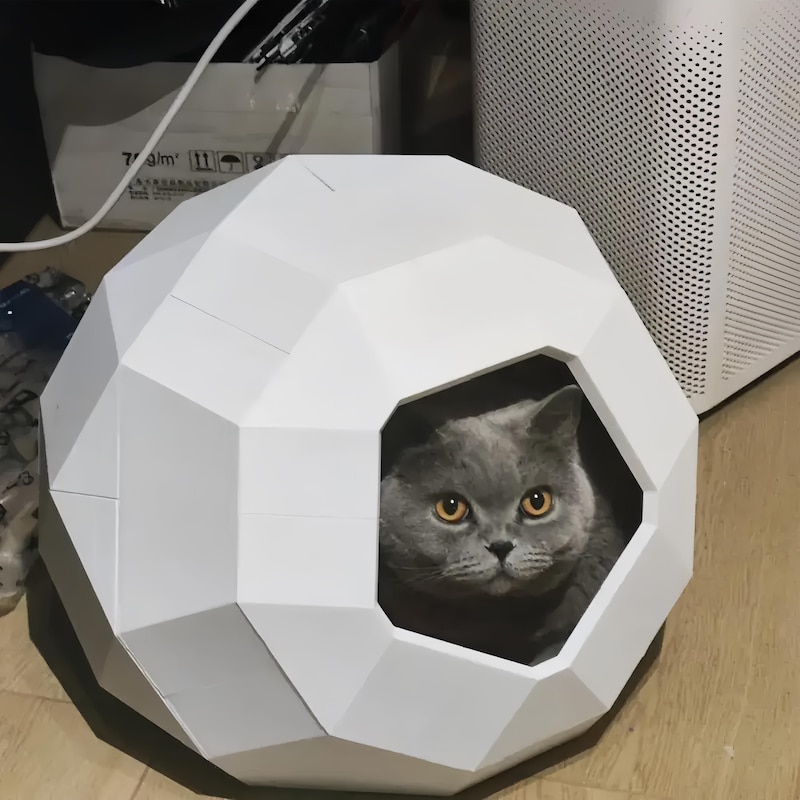 3d Print Cat With Bed - Etsy