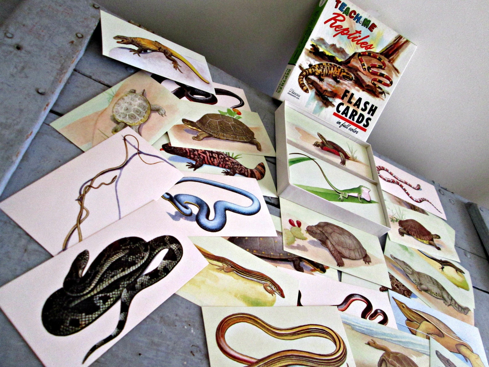 Vintage Reptiles Flashcards by Renwal Excellent Condition | Etsy