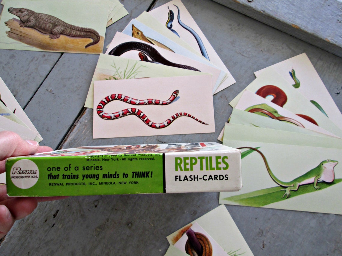 Vintage Reptiles Flashcards by Renwal Excellent Condition | Etsy