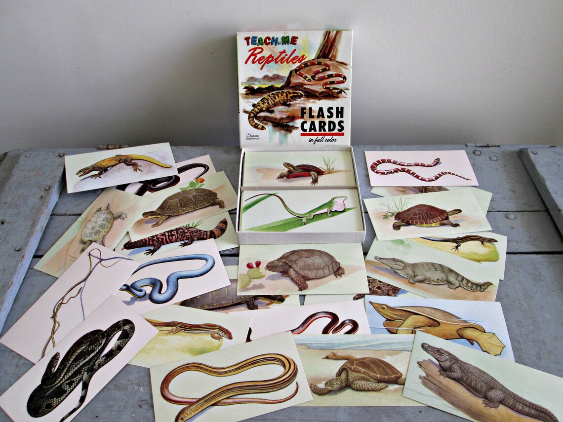 Vintage Reptiles Flashcards by Renwal Excellent Condition | Etsy