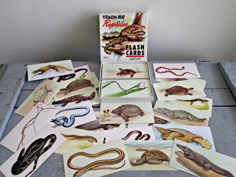 Vintage Reptiles Flashcards by Renwal Excellent Condition | Etsy