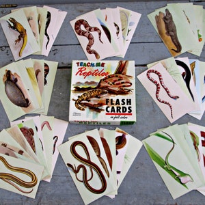 Vintage Reptiles Flashcards by Renwal, Excellent Condition Plus Box ...