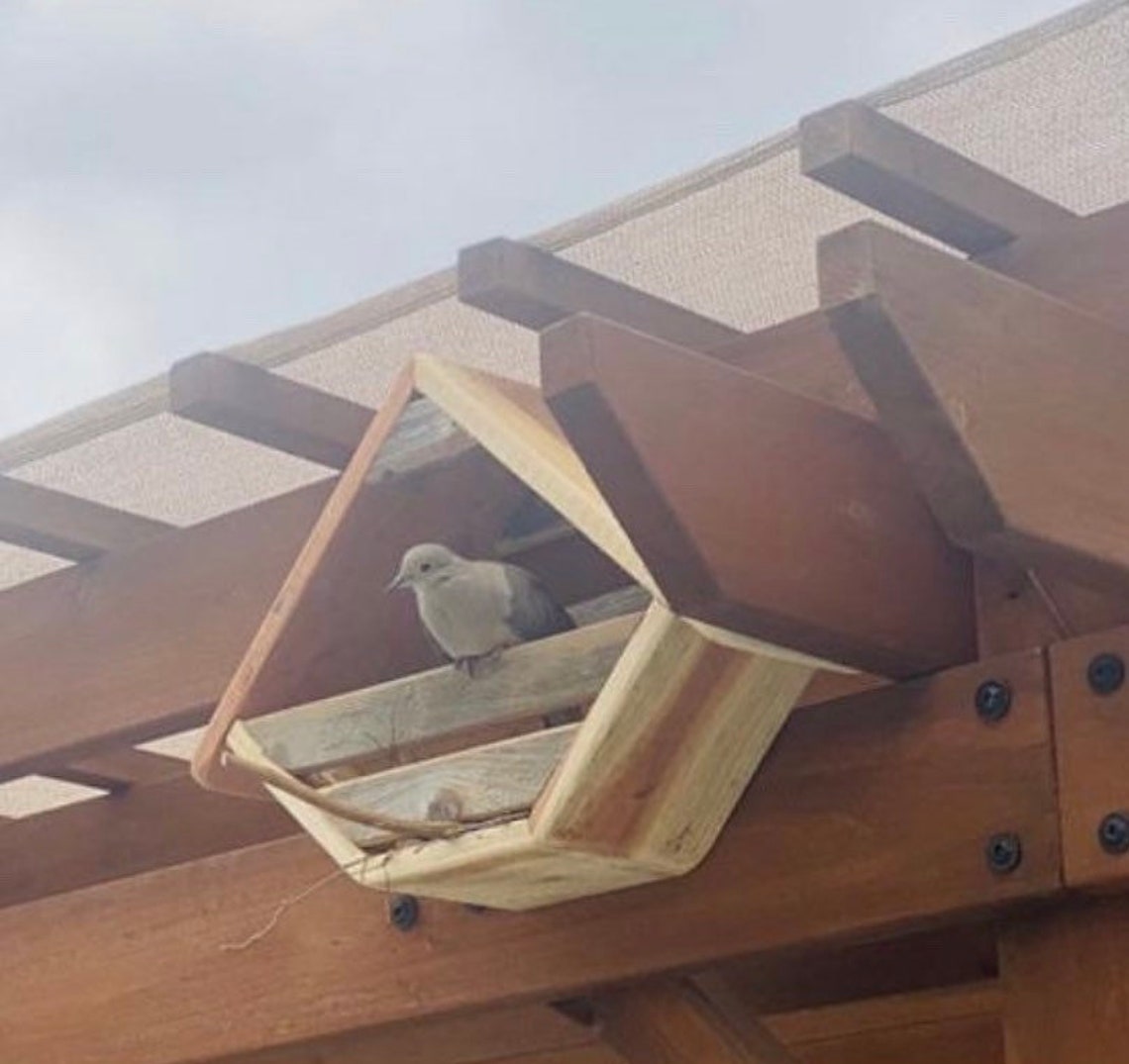 Ready to Ship in 3-5 Days Dove or Wren Box - Etsy