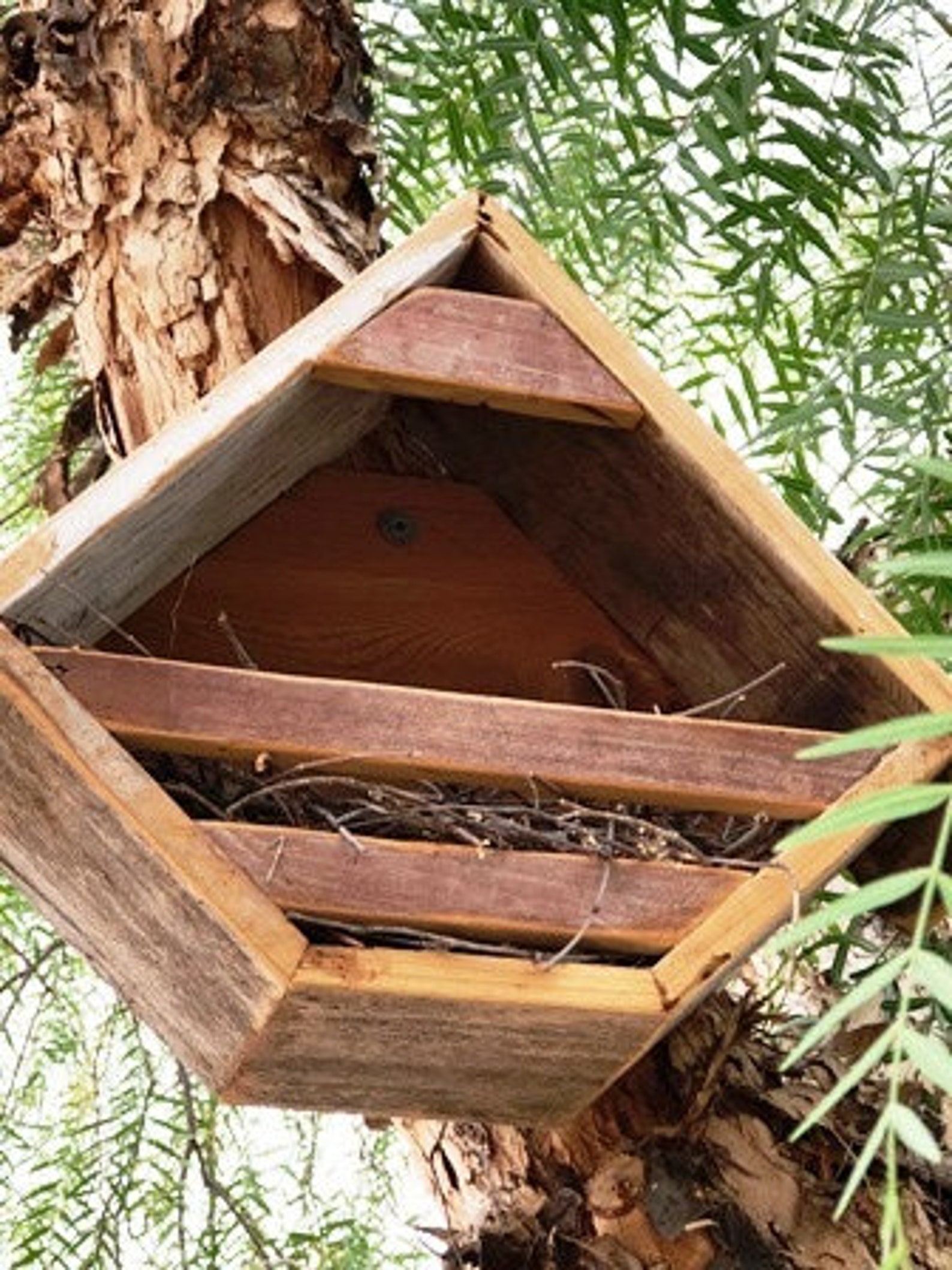 Ready to Ship in 3-5 Days. Dove or Wren Nesting Box Made of - Etsy
