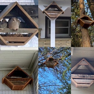 Ready to Ship 3-5 Days Dove / Wren/ Tree Swallow Nesting Box With Mom ...