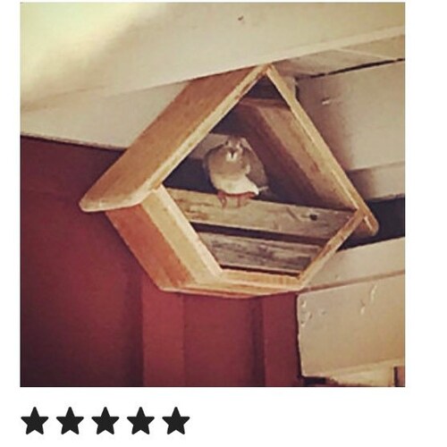 Dove Nesting Box - Etsy