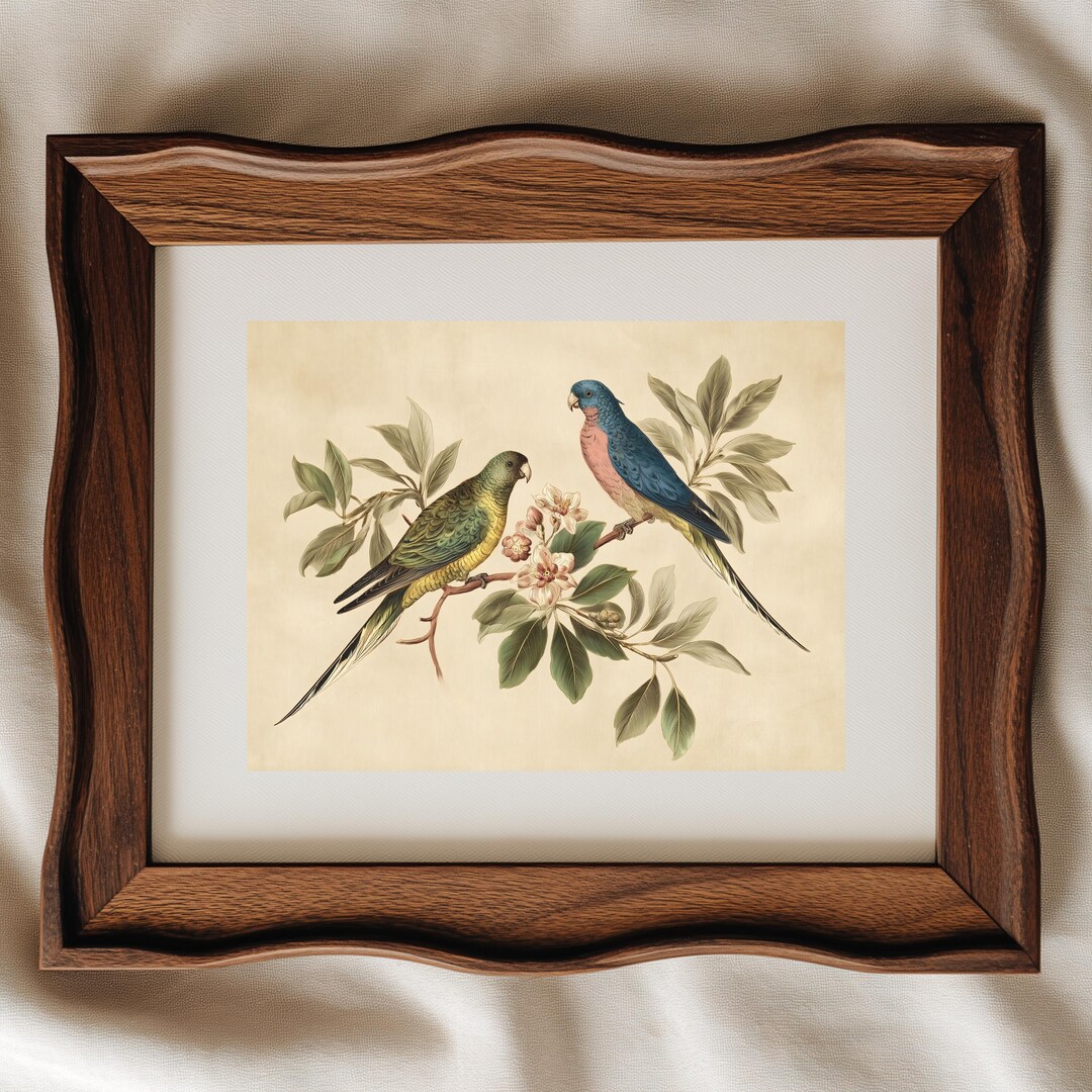 Vintage Parrot Botanical Art Print | Colorful Bird Illustration ...