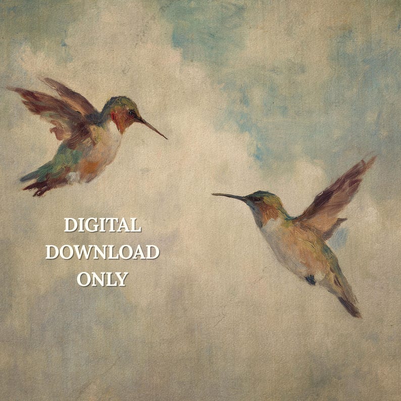 Hummingbird Print | Vintage Bird Wall Art (digital Download) - Etsy