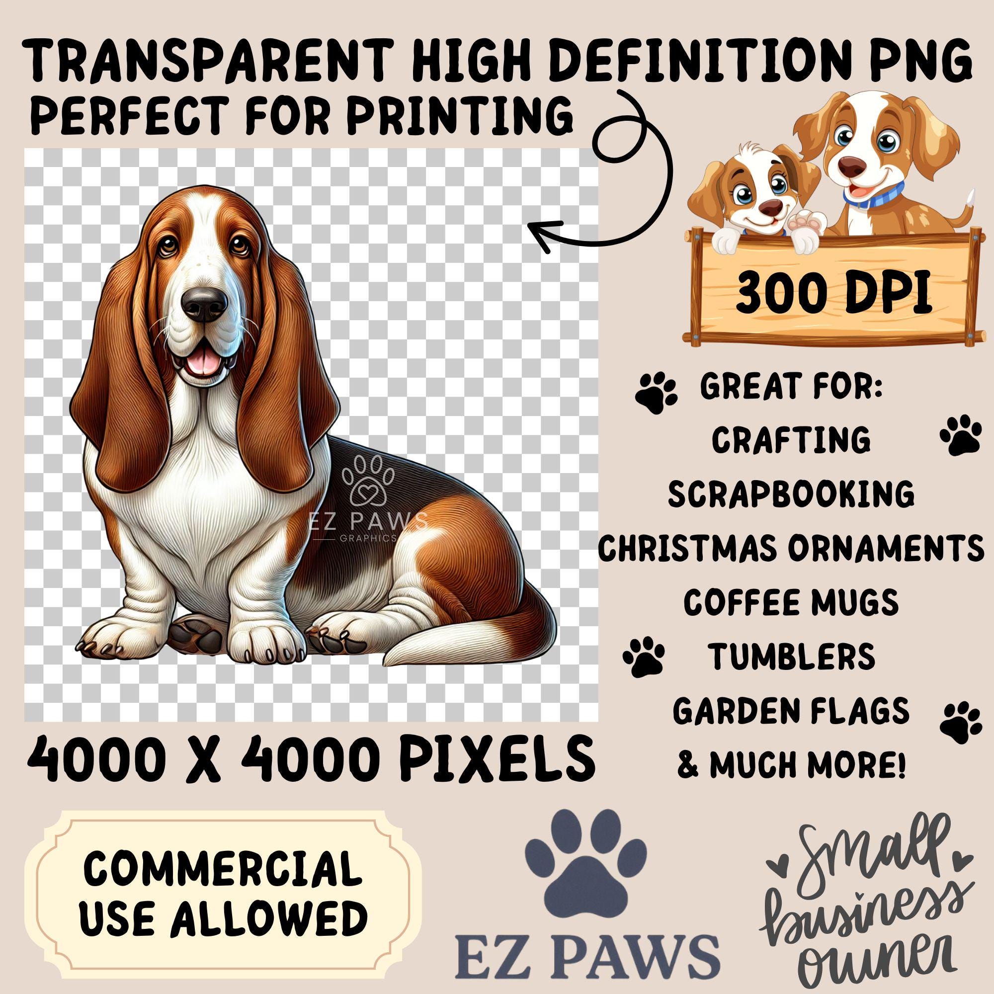 Dogs Clipart, 5 PNG Adorable Basset Hound Graphics, Cute Basset Dog ...